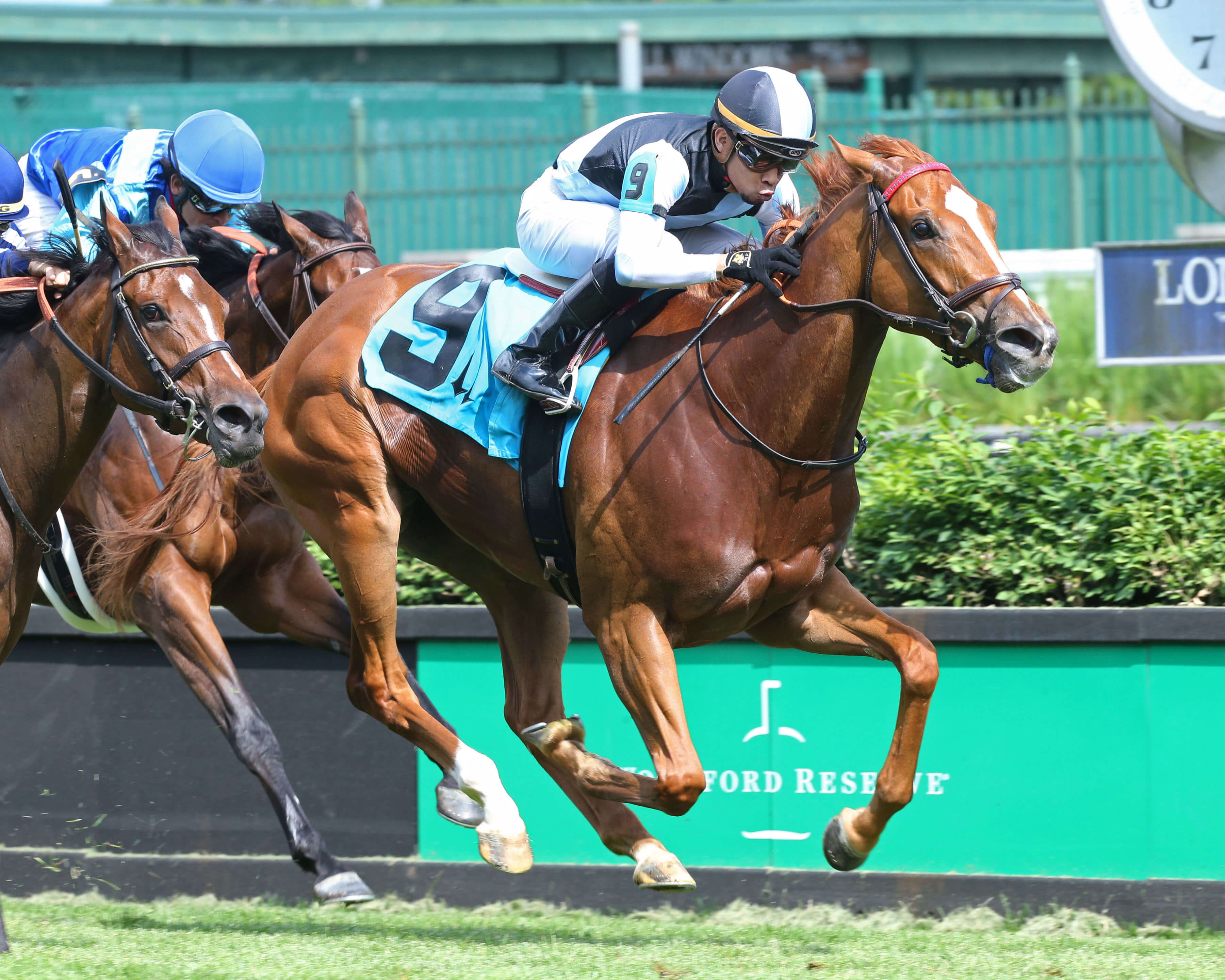 Belmont Stakes Past Performances And Victories | Horse Racing News