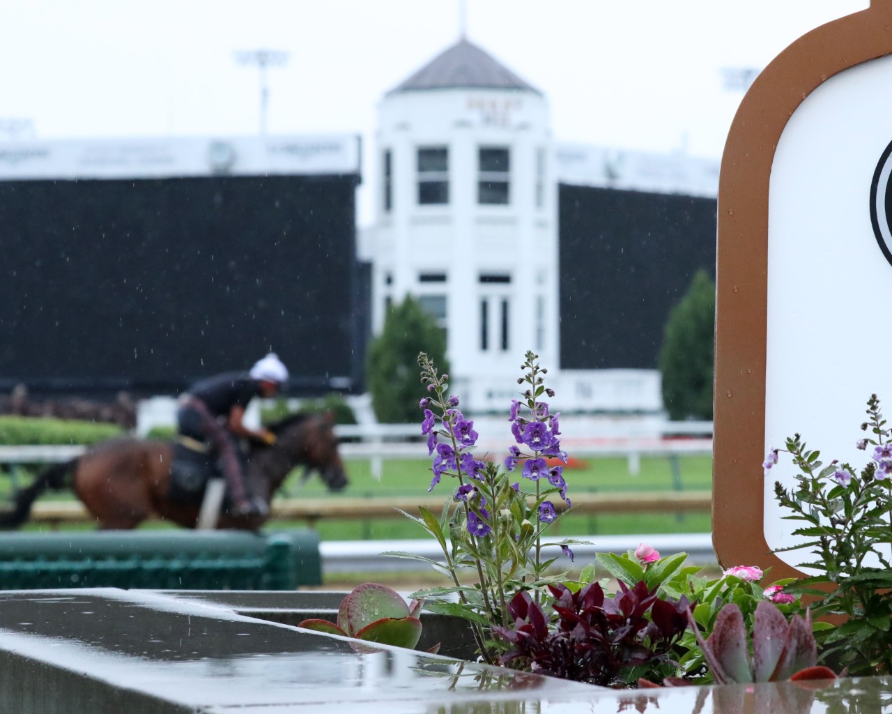 2023 Kentucky Derby Post Positions, Entries, Odds And Predictions ...