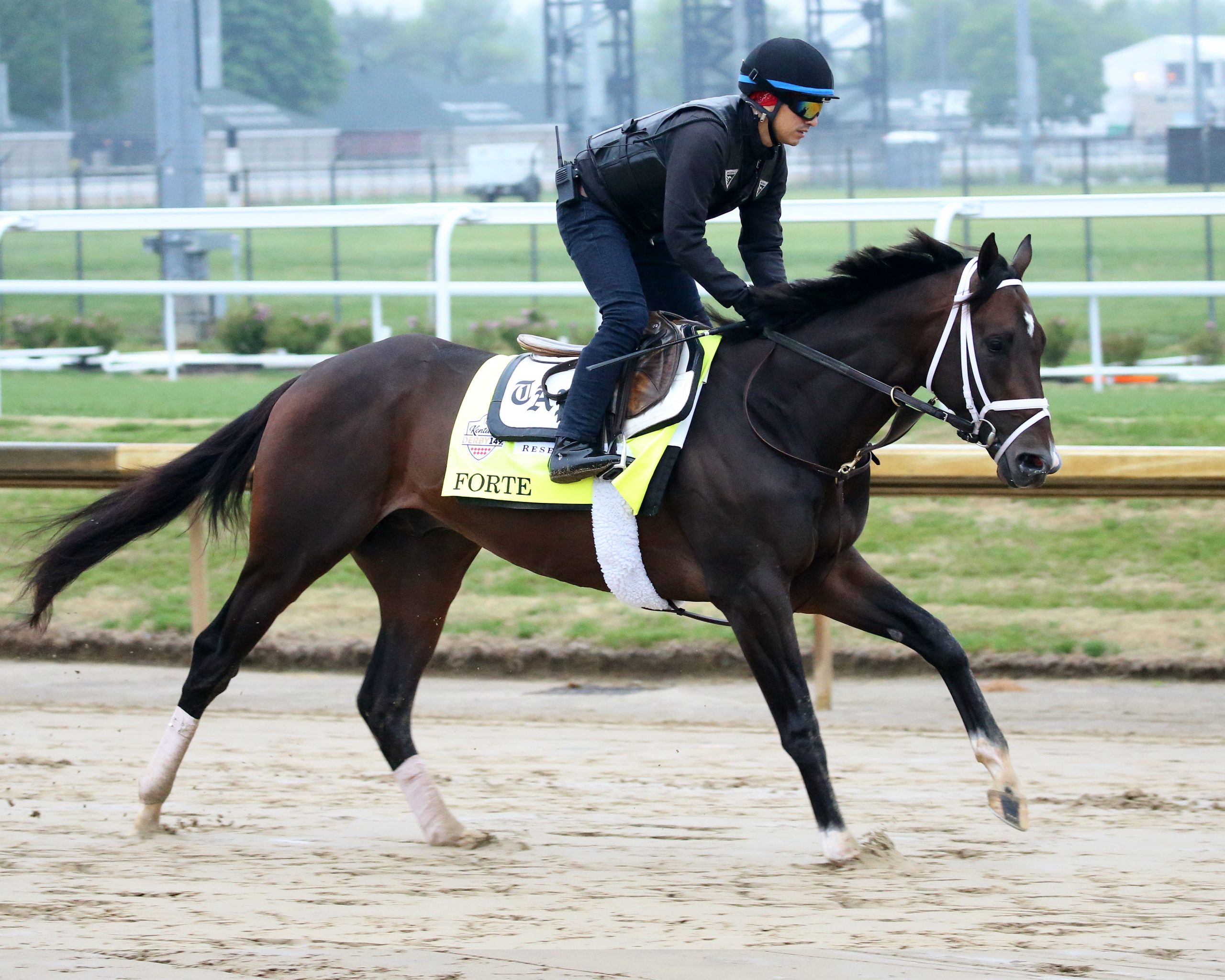 2023 Kentucky Derby Post Positions, Entries, Odds And Predictions ...