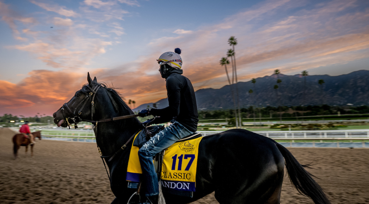 Breeders’ Cup Classic Contenders: ZANDON 🏇 | Horse Racing News