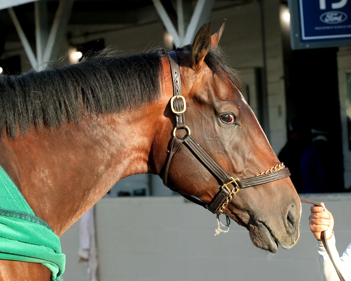 Breeders’ Cup News: Sovereignty Pulls Away in BC Classic Rankings | US ...