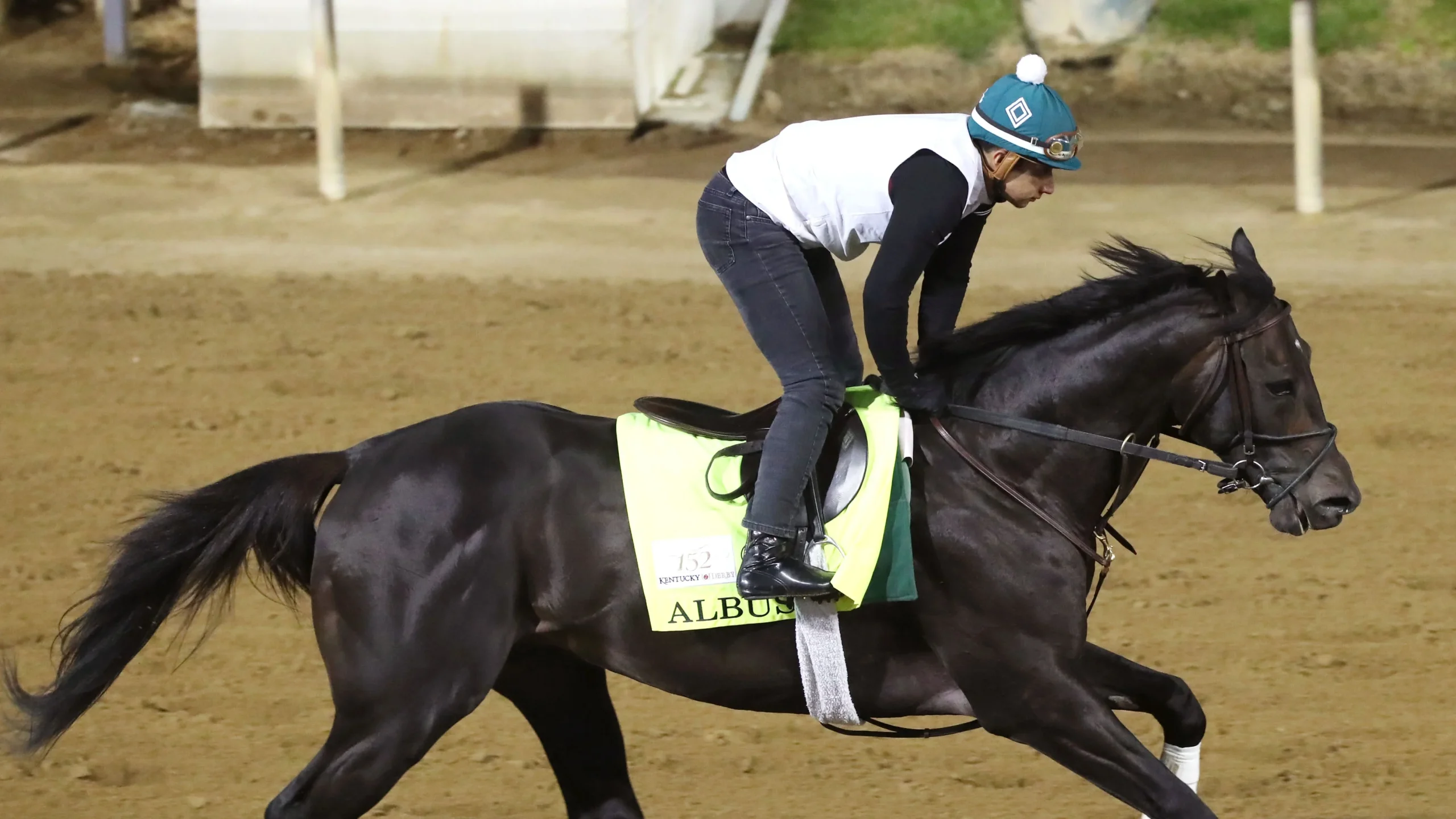 Kentucky Derby Contender: Albus | US Racing